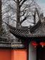 Luxury Hotel & Resort in Quzhou | Angsana Quzhou