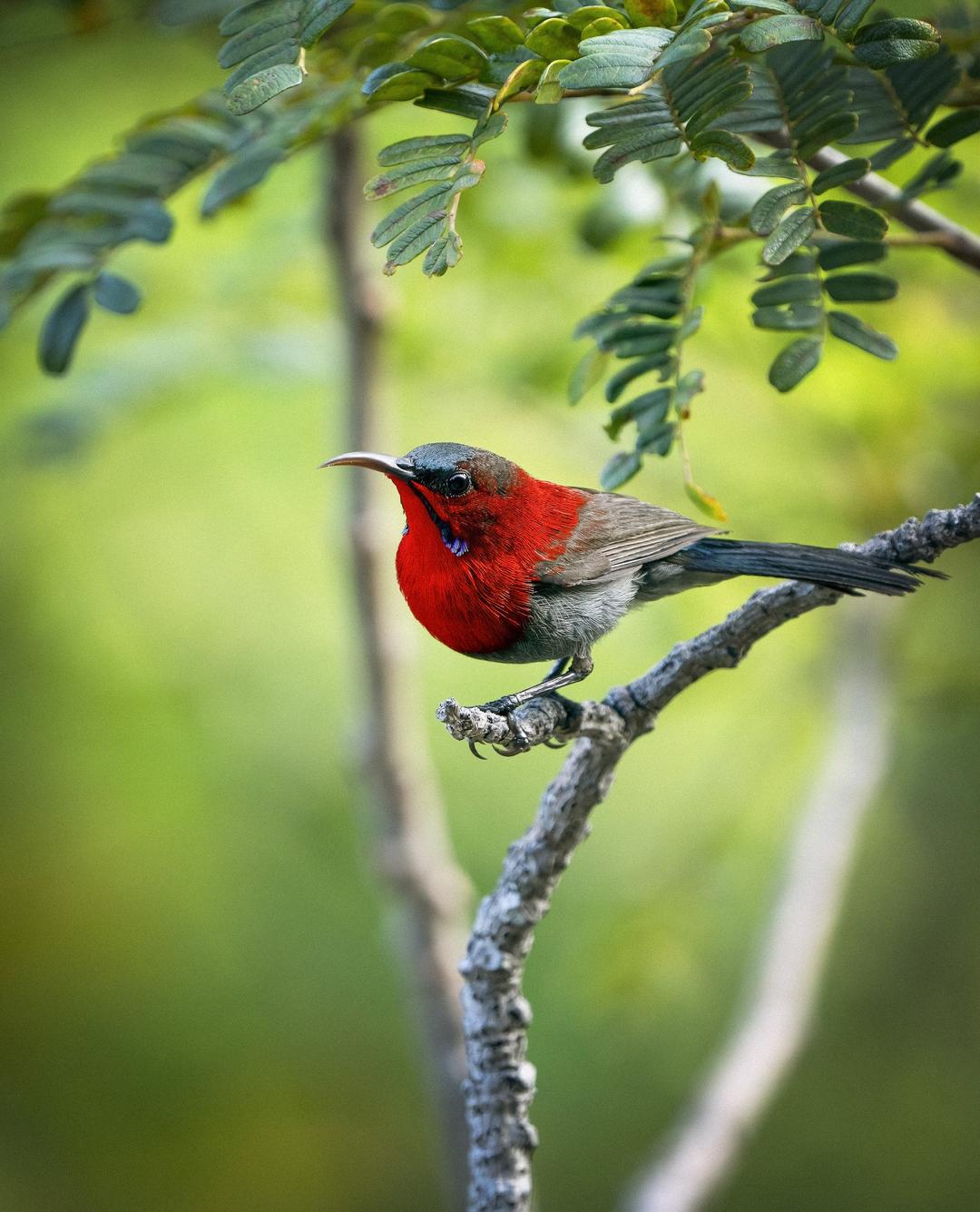 Family Biodiversity Experience in Vietnam | Angsana Lang Co
