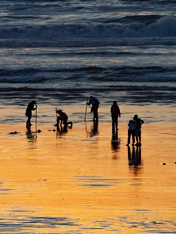 Experiences | Angsana