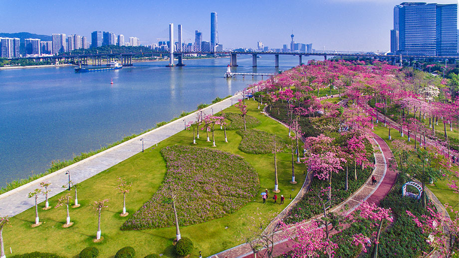 Local Attractions | Angsana Zhuhai Hengqin